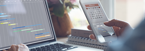 Services – Absolute Project Management